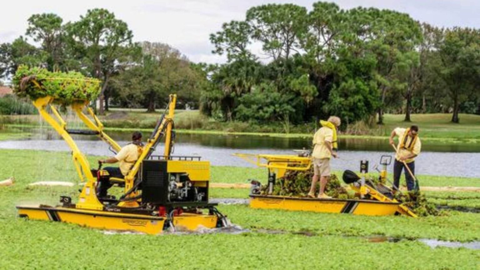 How Much Does a Weedoo Boat Cost | Guide to Pricing with ROI