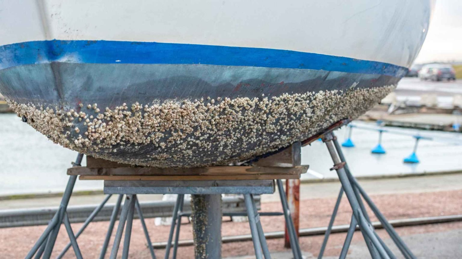 How to Remove Barnacles from Your Boat: Step-By-Step Guide