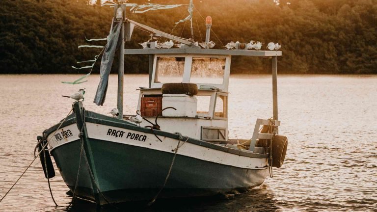 How Do Boats Float on Water: The Science Behind Buoyancy