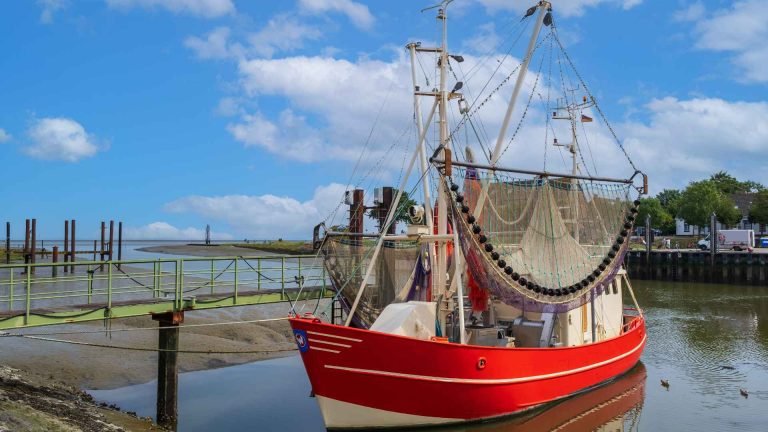 How Do Shrimp Boats Work: A Comprehensive Guide