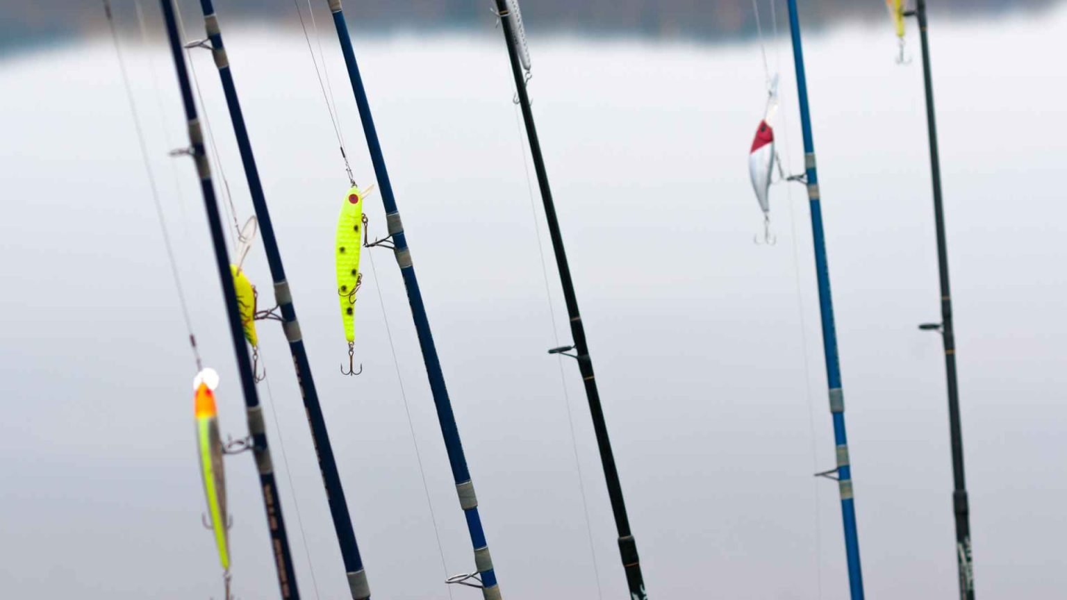 6 Best Baits for Lake Fishing Right Now