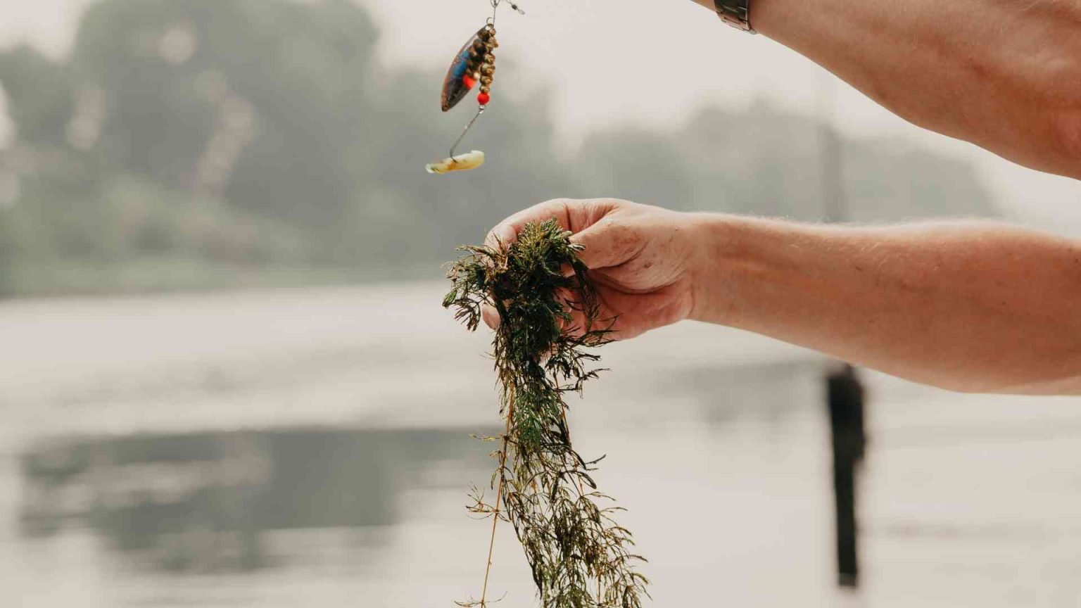 8 Best Ways to Prevent and Remove Algae Growth on Boat Hulls