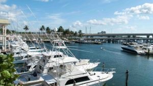 Principles of Tide and Current Navigation While Boating