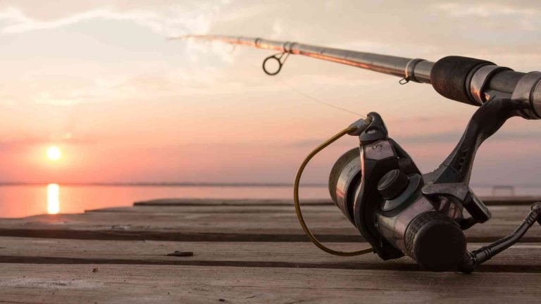 How Long Is a Rod? Measurement Unit Vs. Fishing Rod Length
