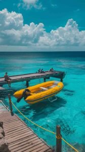 Picture of a Banana Boat 4K HD Wallpapers