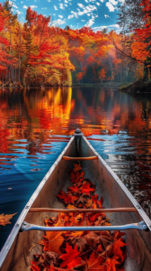Picture of a Canoe 4K HD Wallpapers