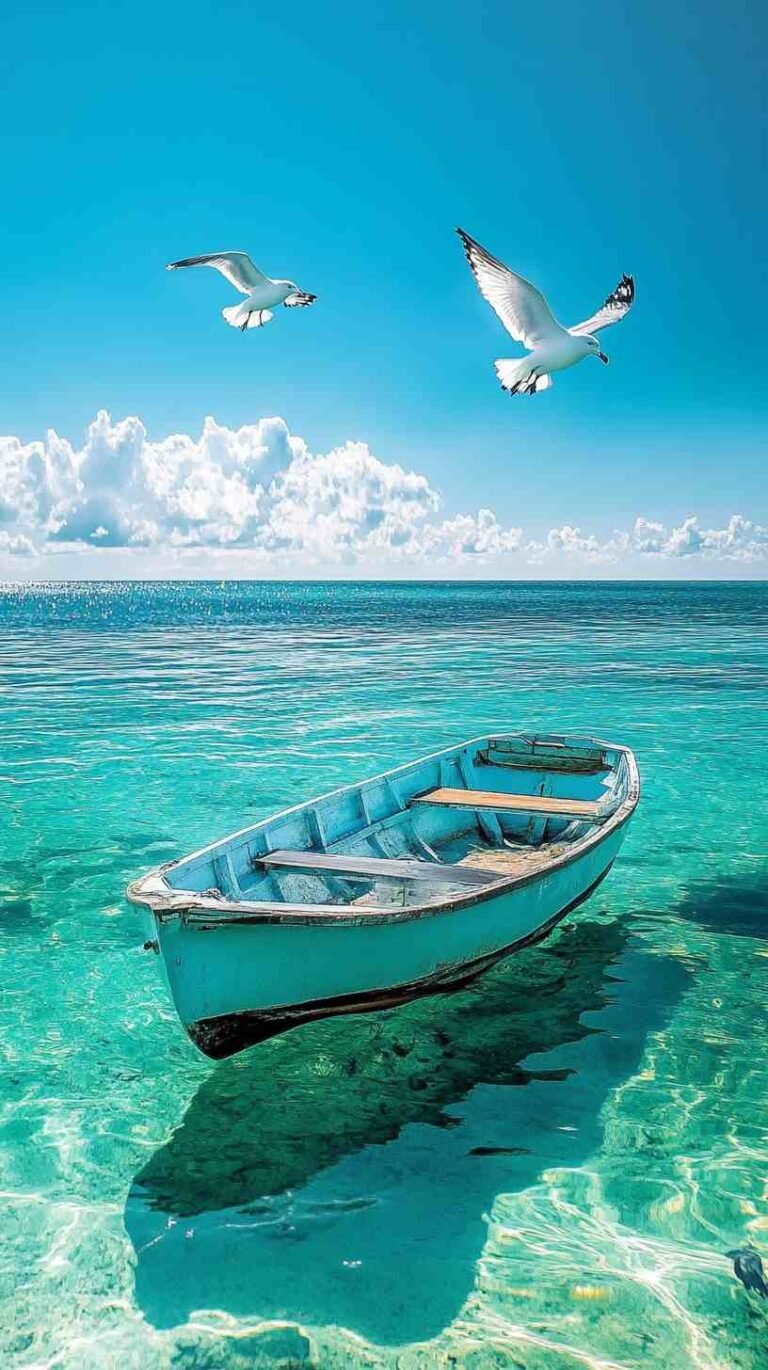 Boat in Water Picture Images 4K HD Wallpapers