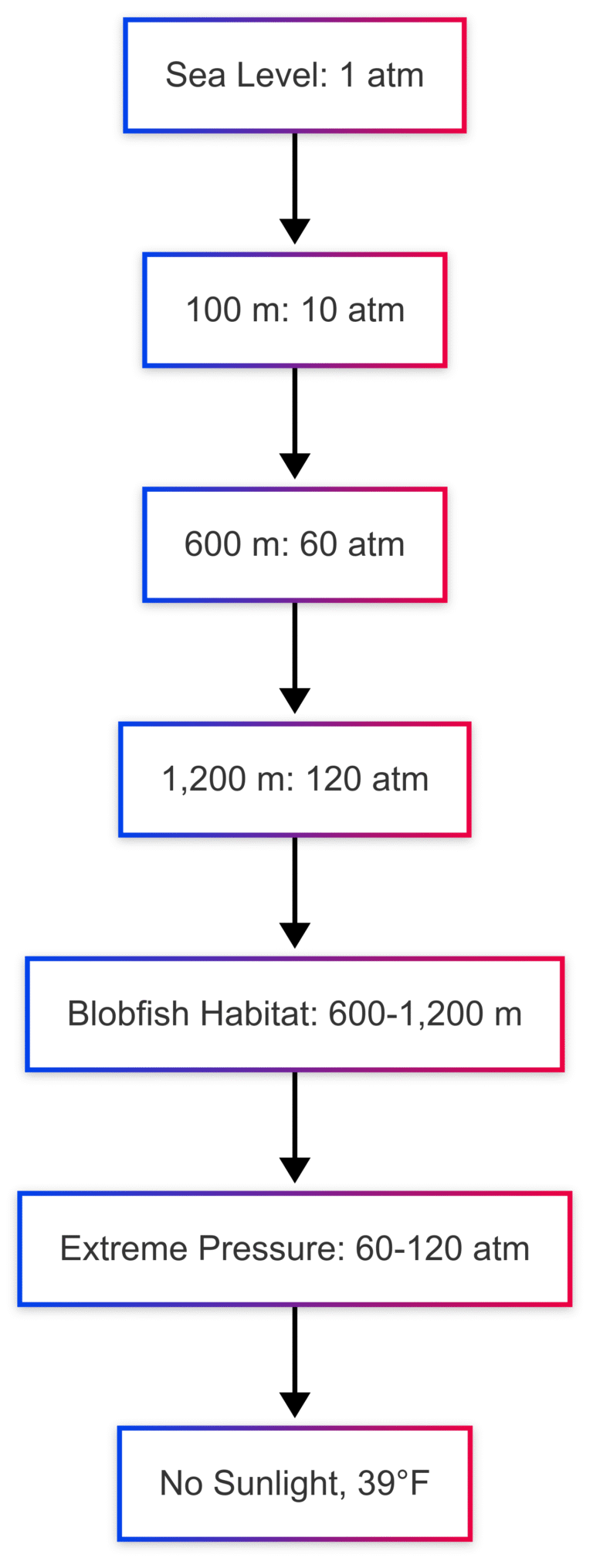 Meet the Blobfish: Misunderstood Deep-Sea Marvel