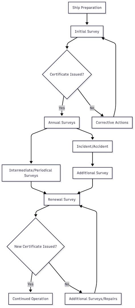 A Guide to Ship Surveys and Inspections