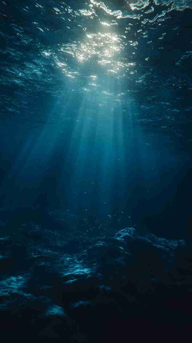 Deep Ocean Picture 4K HD Wallpapers