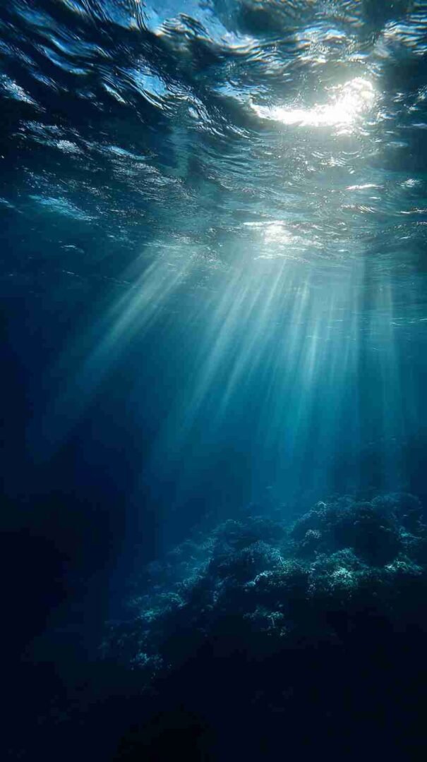 Deep Ocean Picture 4K HD Wallpapers