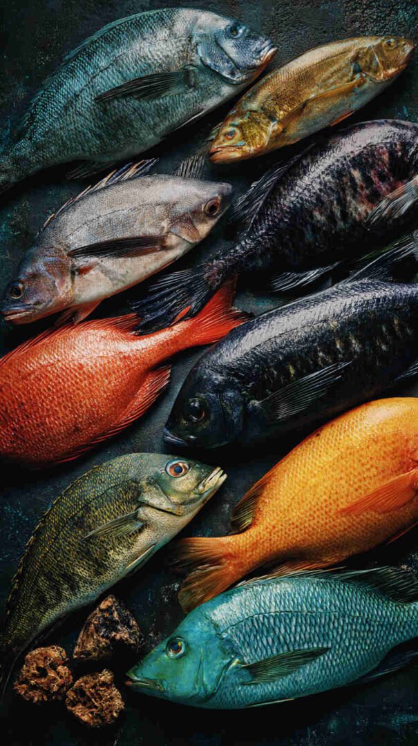 Edible Sea Fish 4K HD Wallpapers